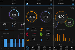 Garmin Connect mobile 3.0 für iOS und Android › pocketnavigation.de ...